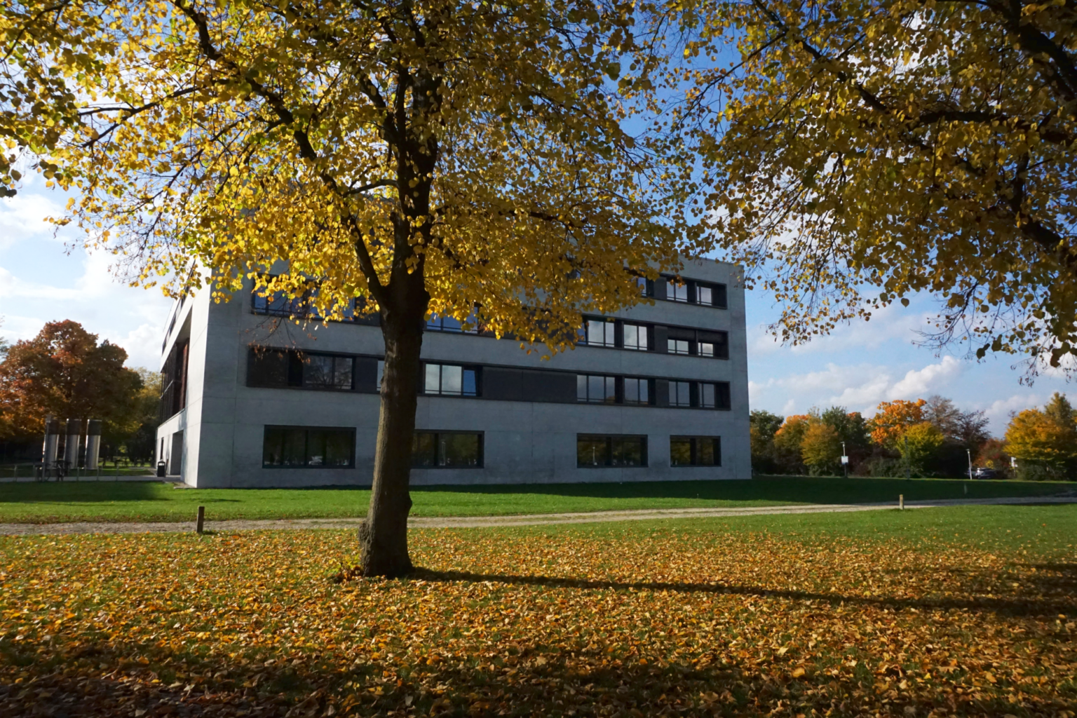 Lehrveranstaltungen im Wintersemester 2025/26